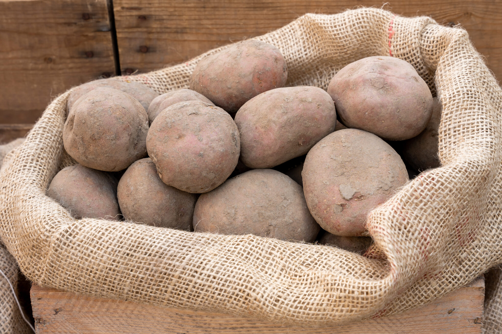 Aardappelen kopen bij de boer? | Boerderijproducten.nl