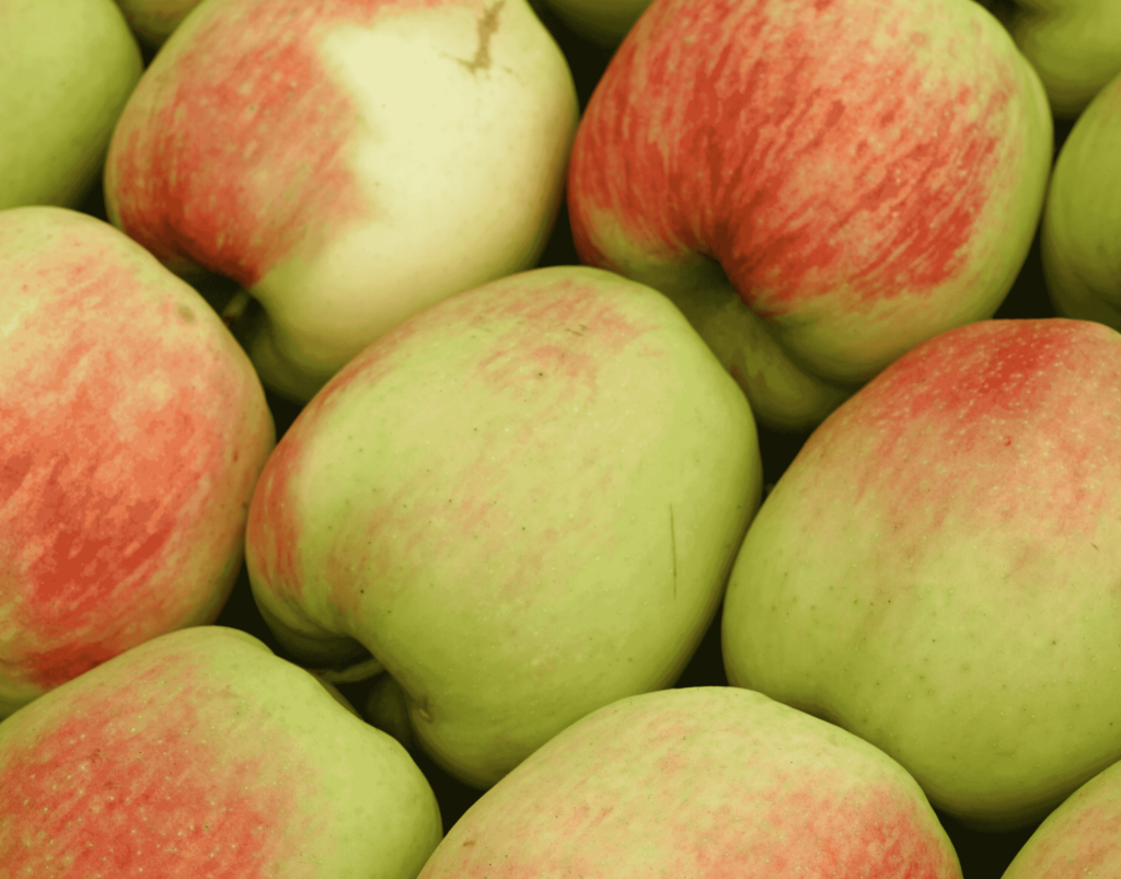 Fruit kopen bij de boer? | Boerderijproducten.nl